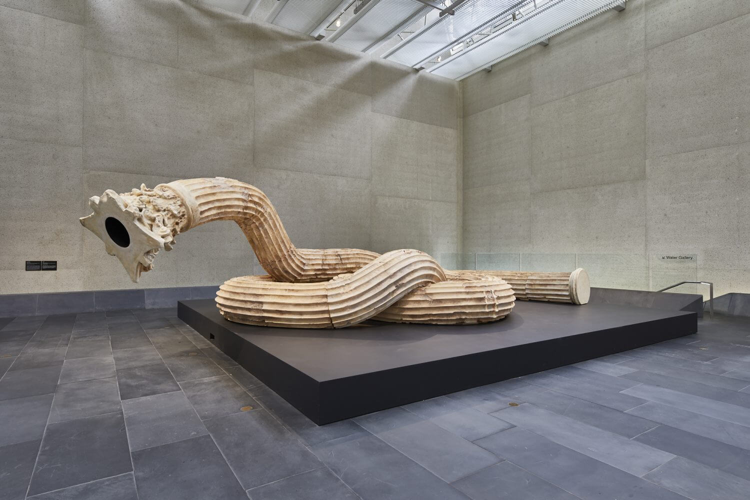 Xu Zhen® — White Rabbit Gallery
