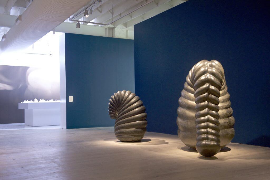 Vile Bodies — White Rabbit Gallery