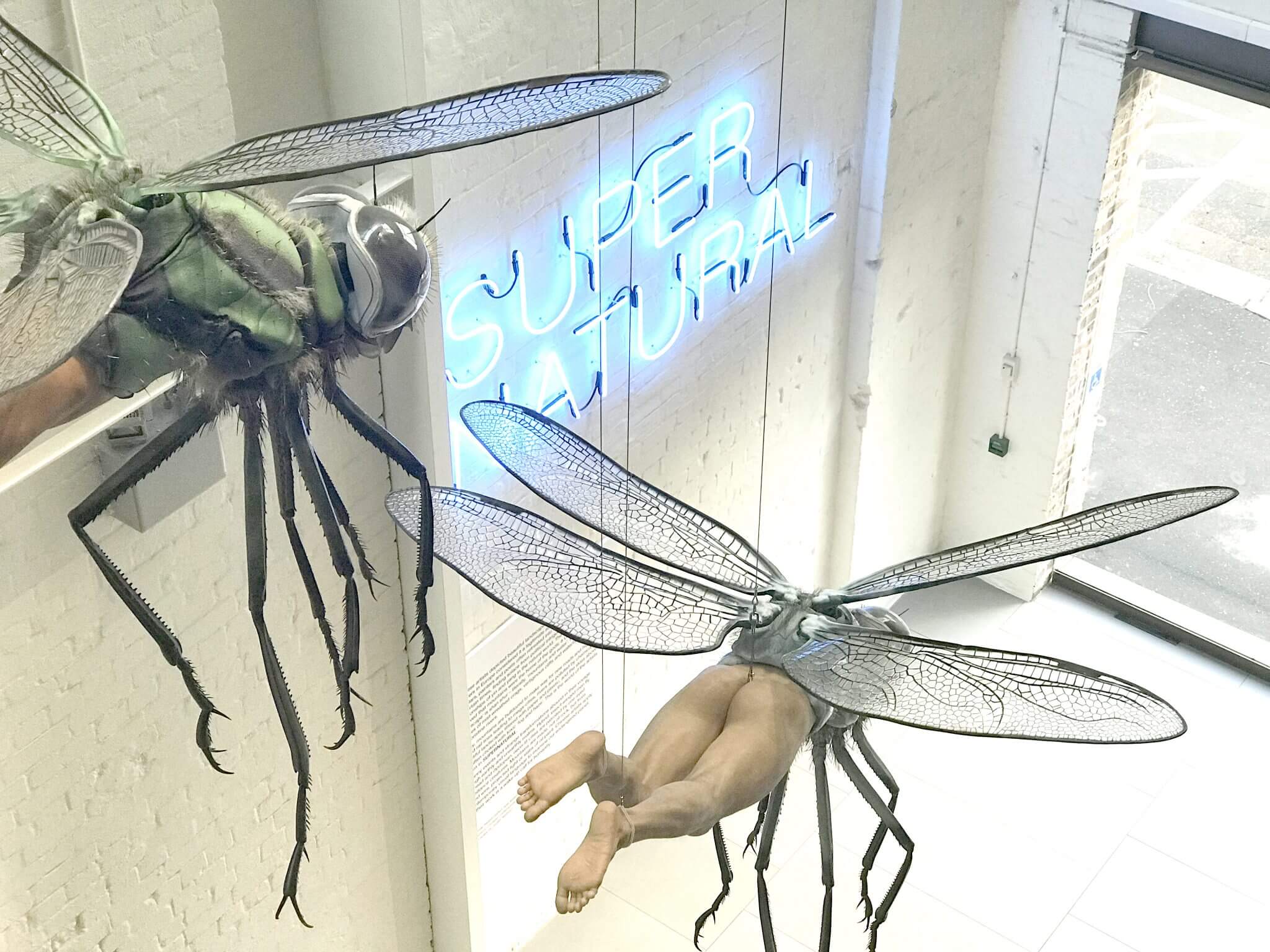 Supernatural — White Rabbit Gallery