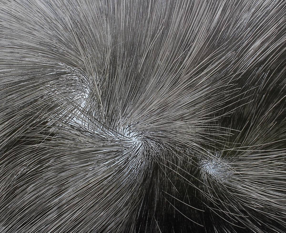 Jiang Jian — White Rabbit Gallery