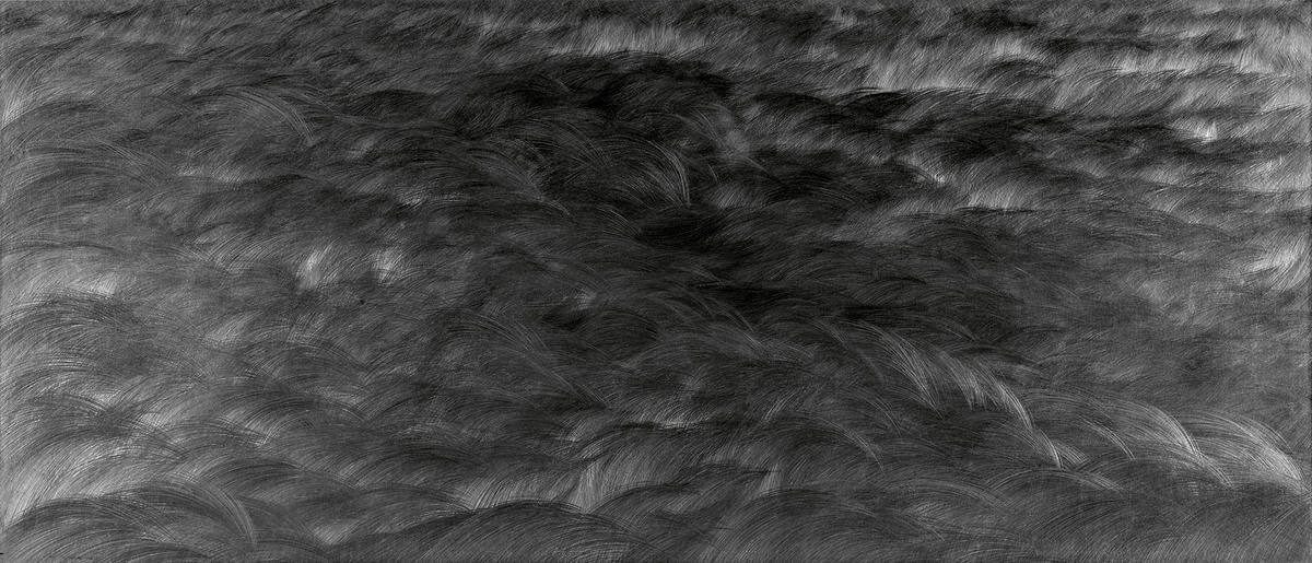 Hu Liu — White Rabbit Gallery