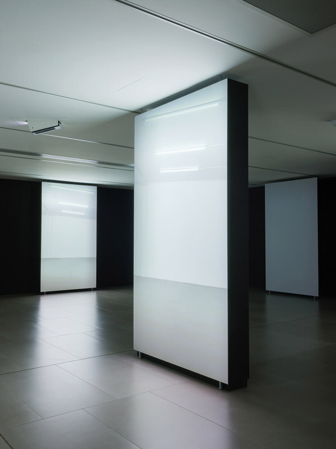 Isaac Chong Wai - Falling-Reversely in Context | Tender Comrade Exhibition | White Rabbit ...