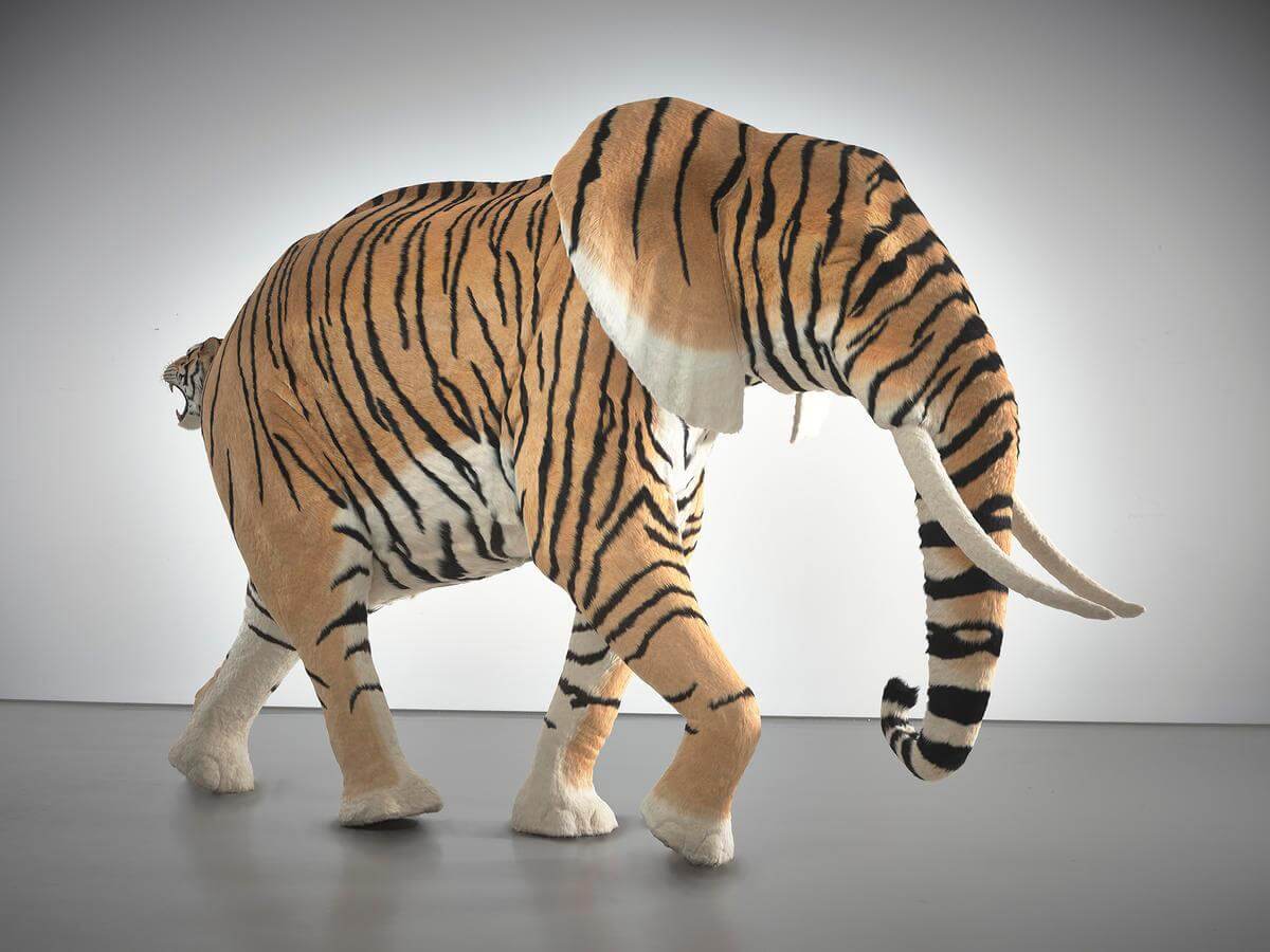 Tian Longyu — White Rabbit Gallery